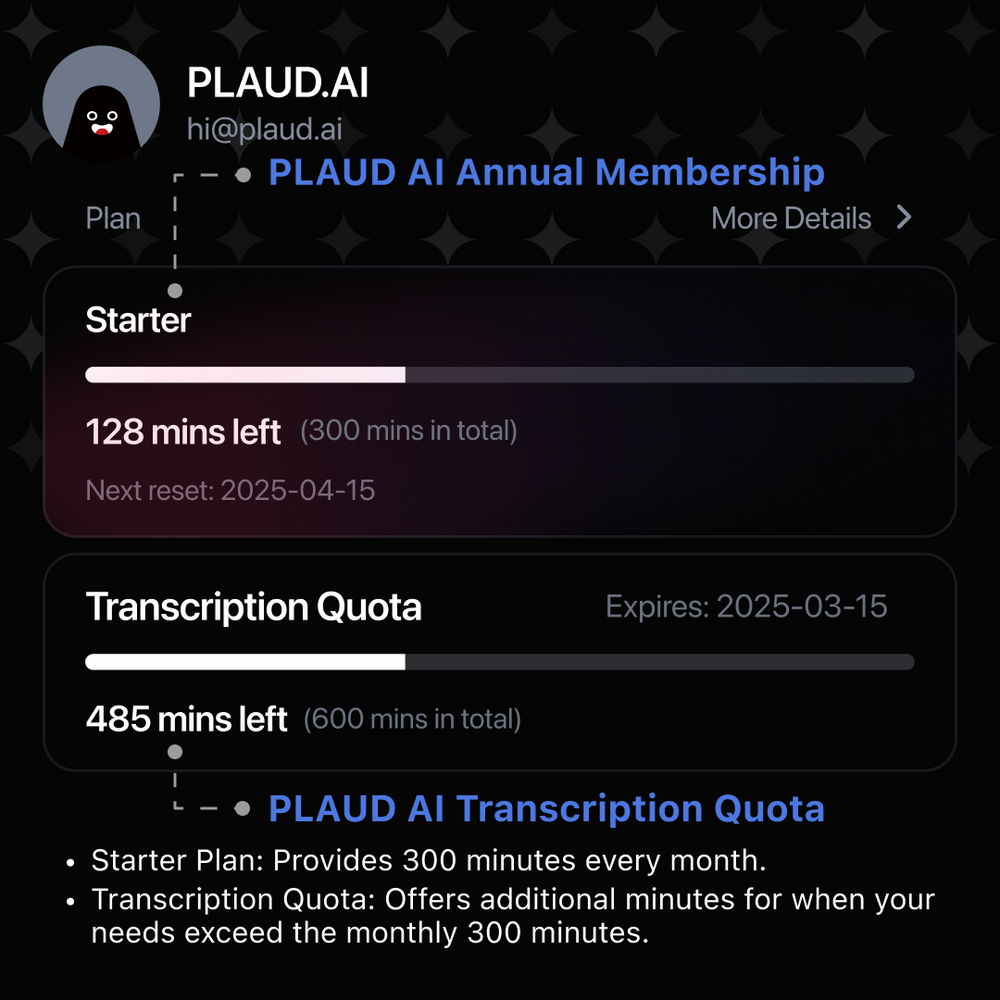 PLAUD AI Transcription Quota (600 mins) - Plaud AU